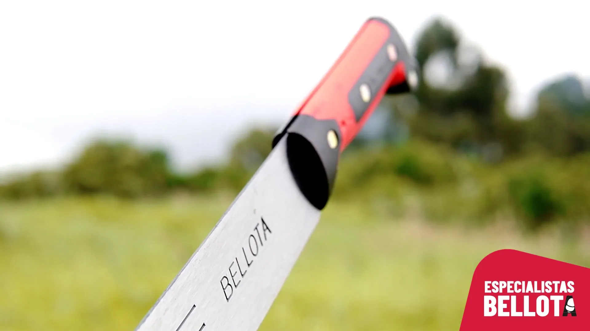 Uso seguro del machete en la agricultura, técnicas y recomendaciones